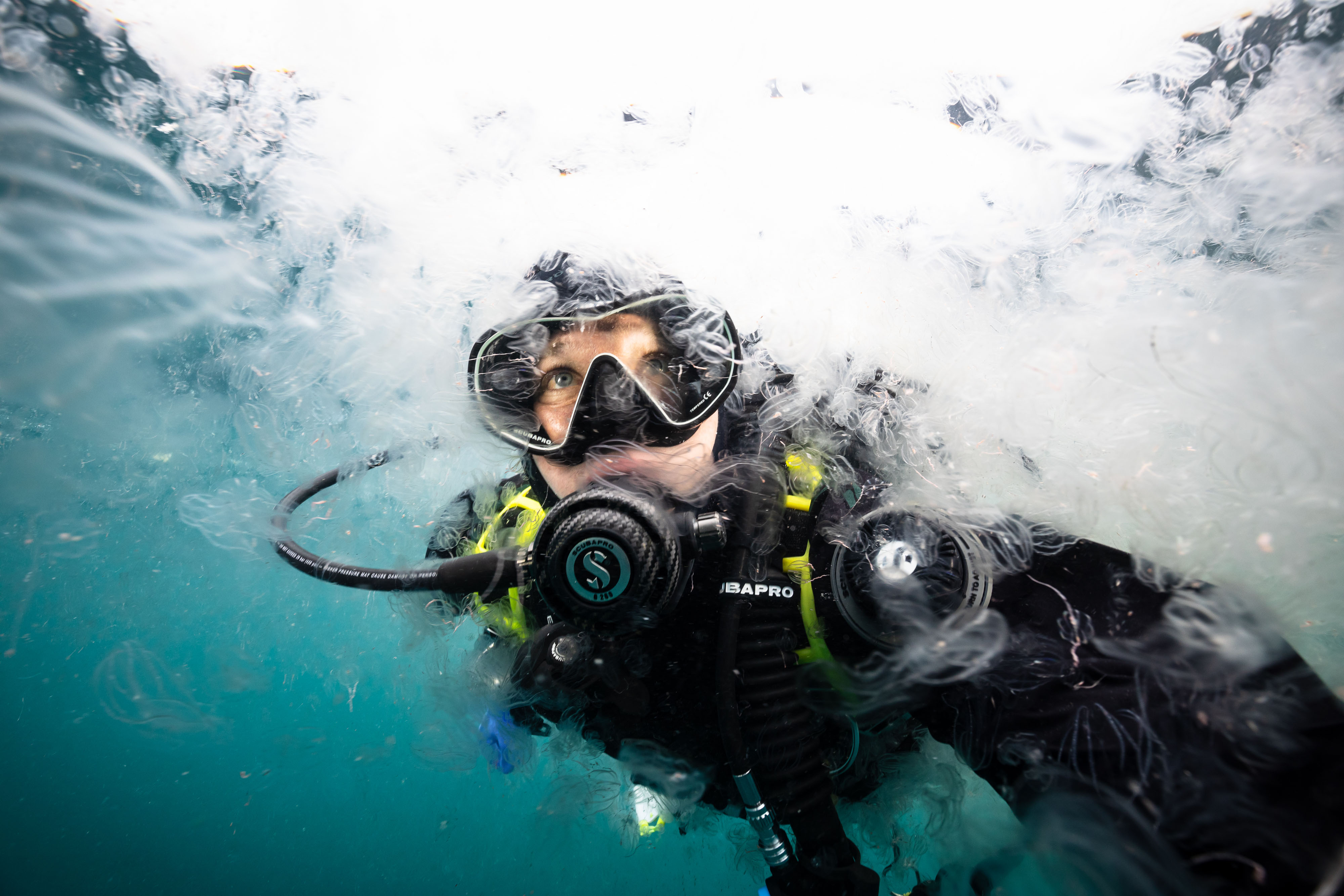 PADI Club Benefits | PADI