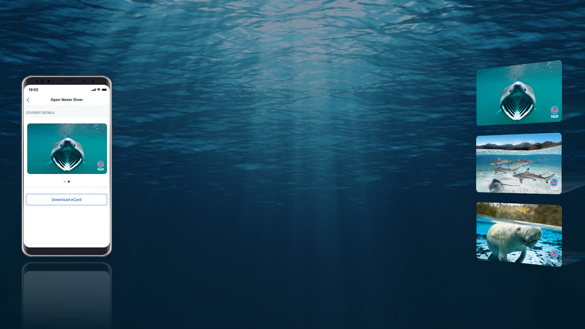 Professional Association of Diving Instructors | PADI