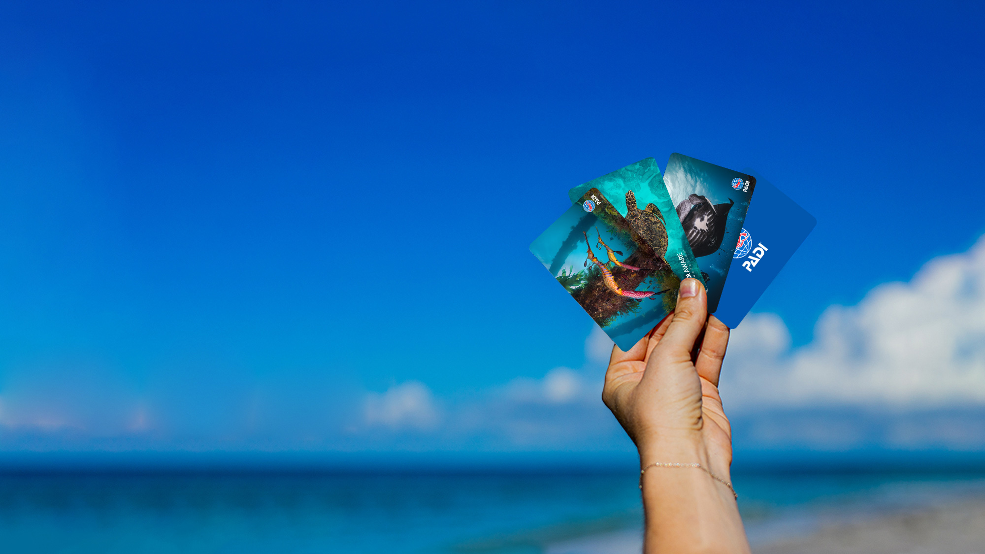 Shop Online | PADI