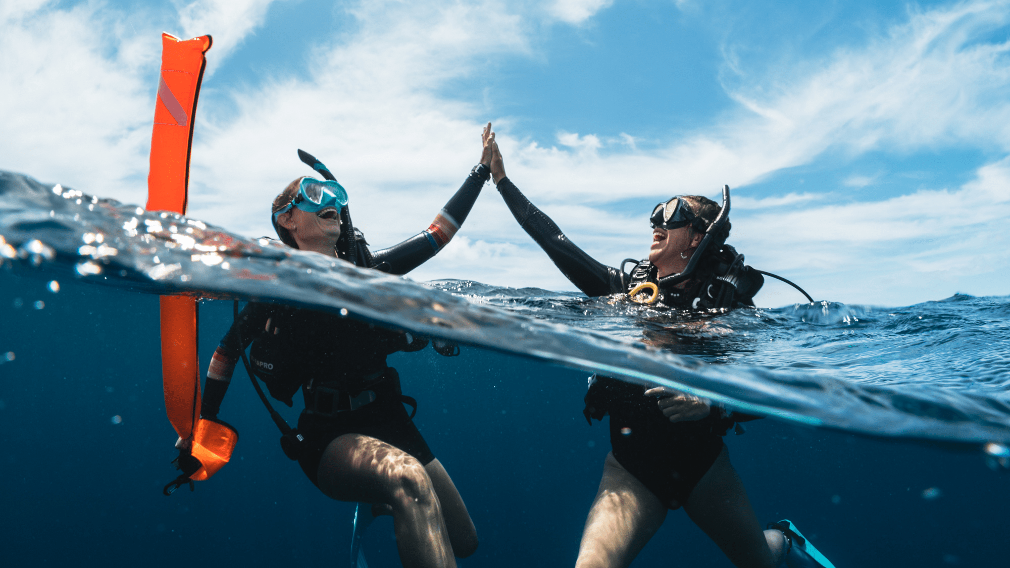 PADI Courses, Conservation, Membership, and Shop