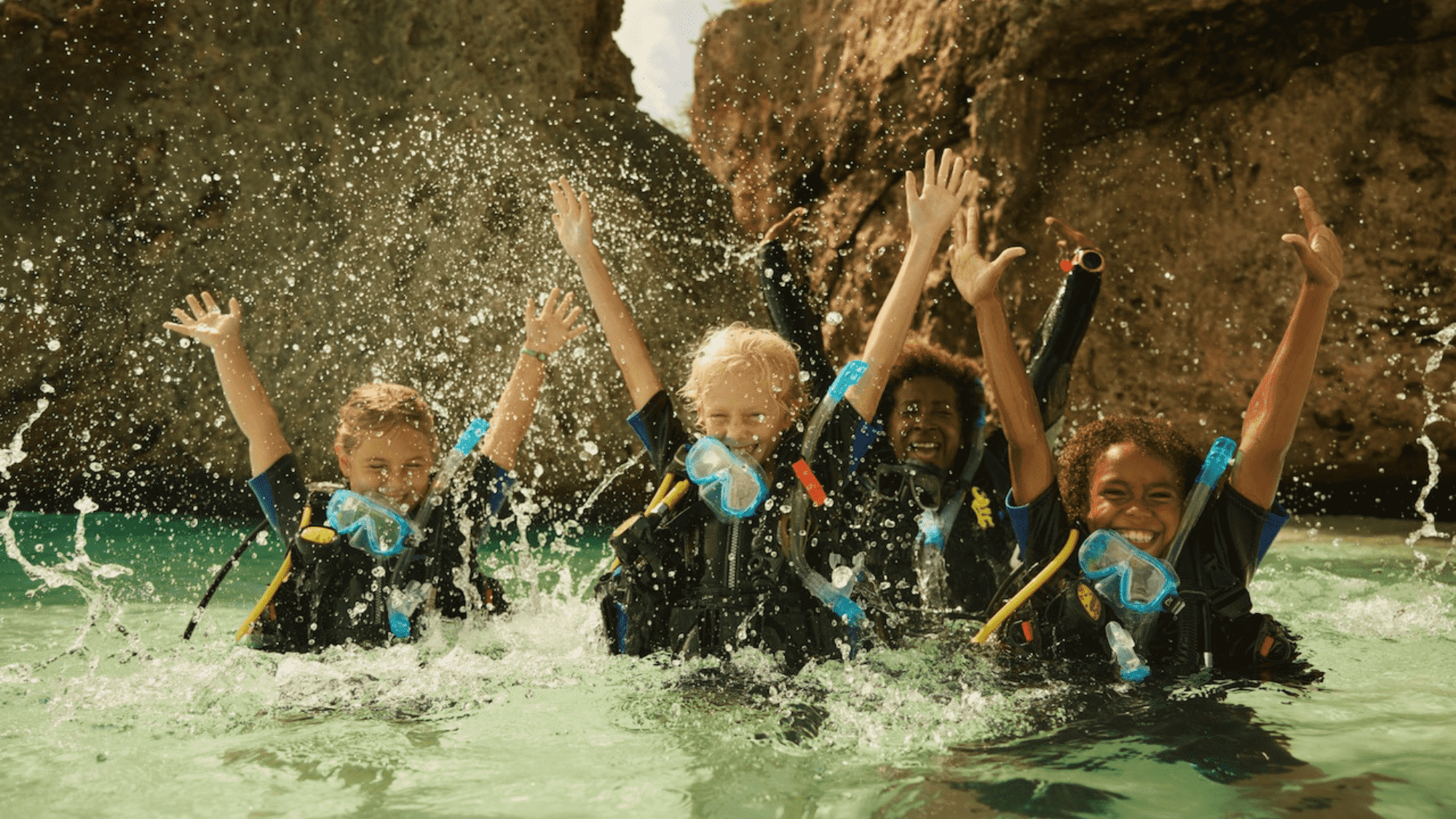 PADI Courses, Conservation, Membership, and Shop