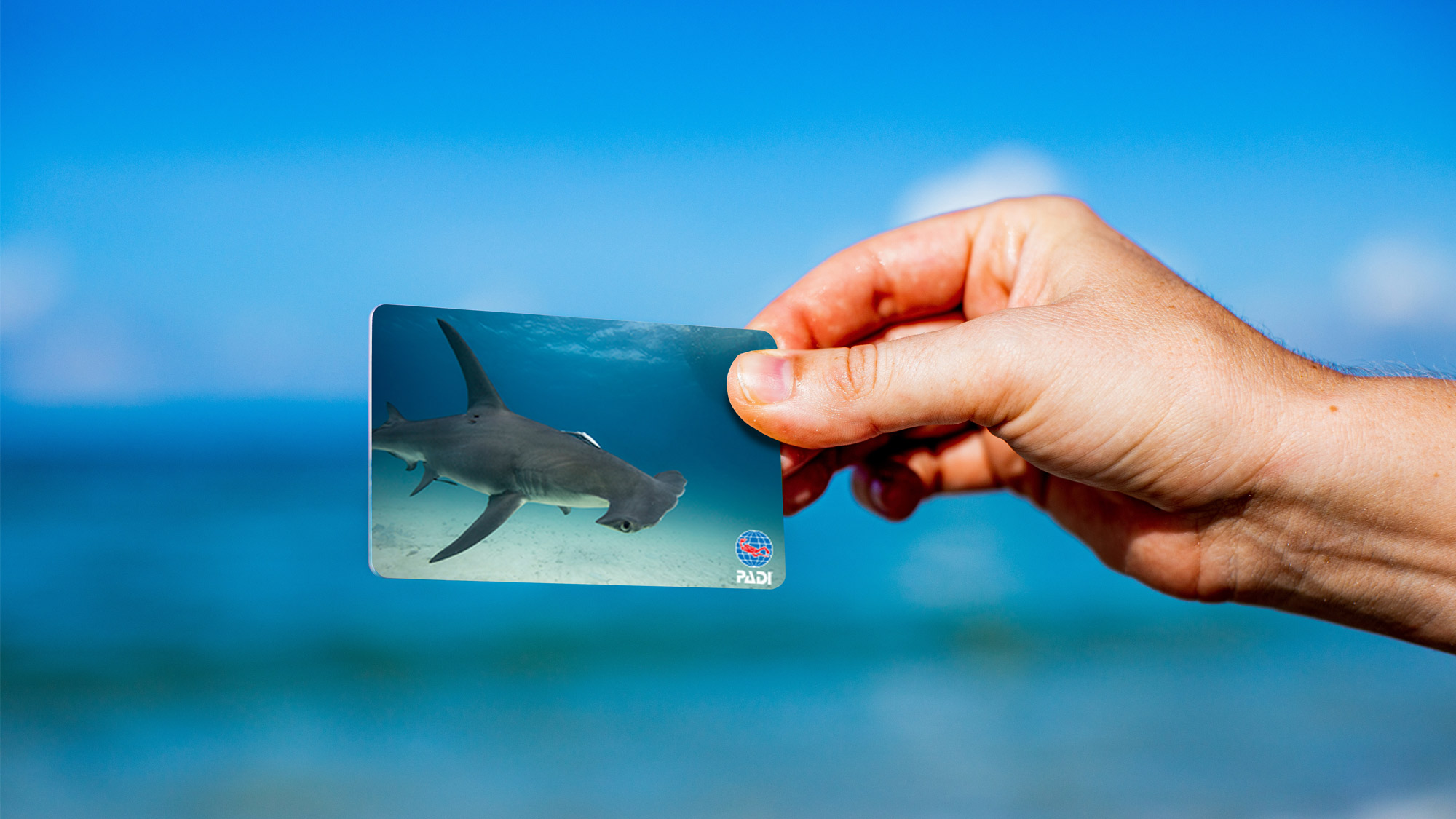 Certification Cards and PADI eCards | PADI