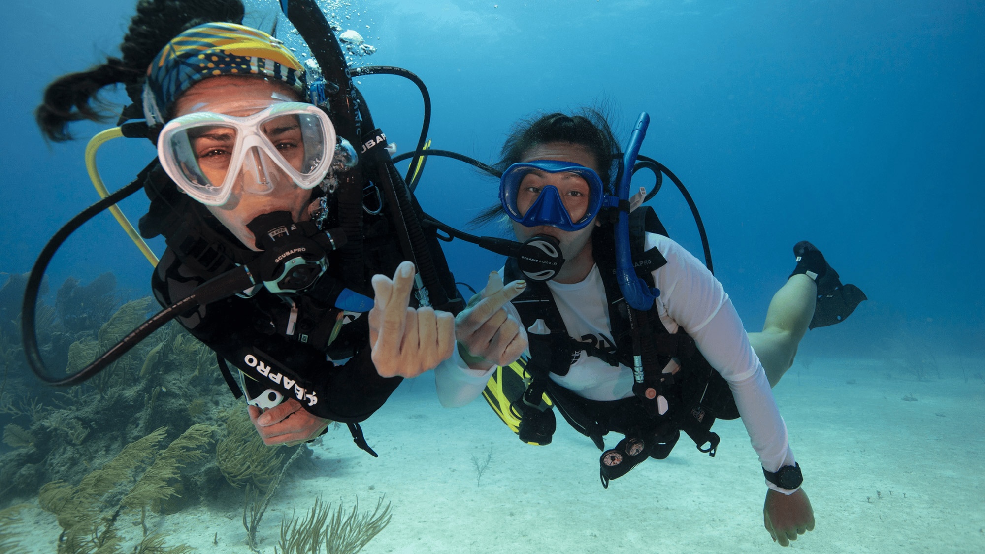 PADI 코스, 보존, 멤버십, 그리고 쇼핑