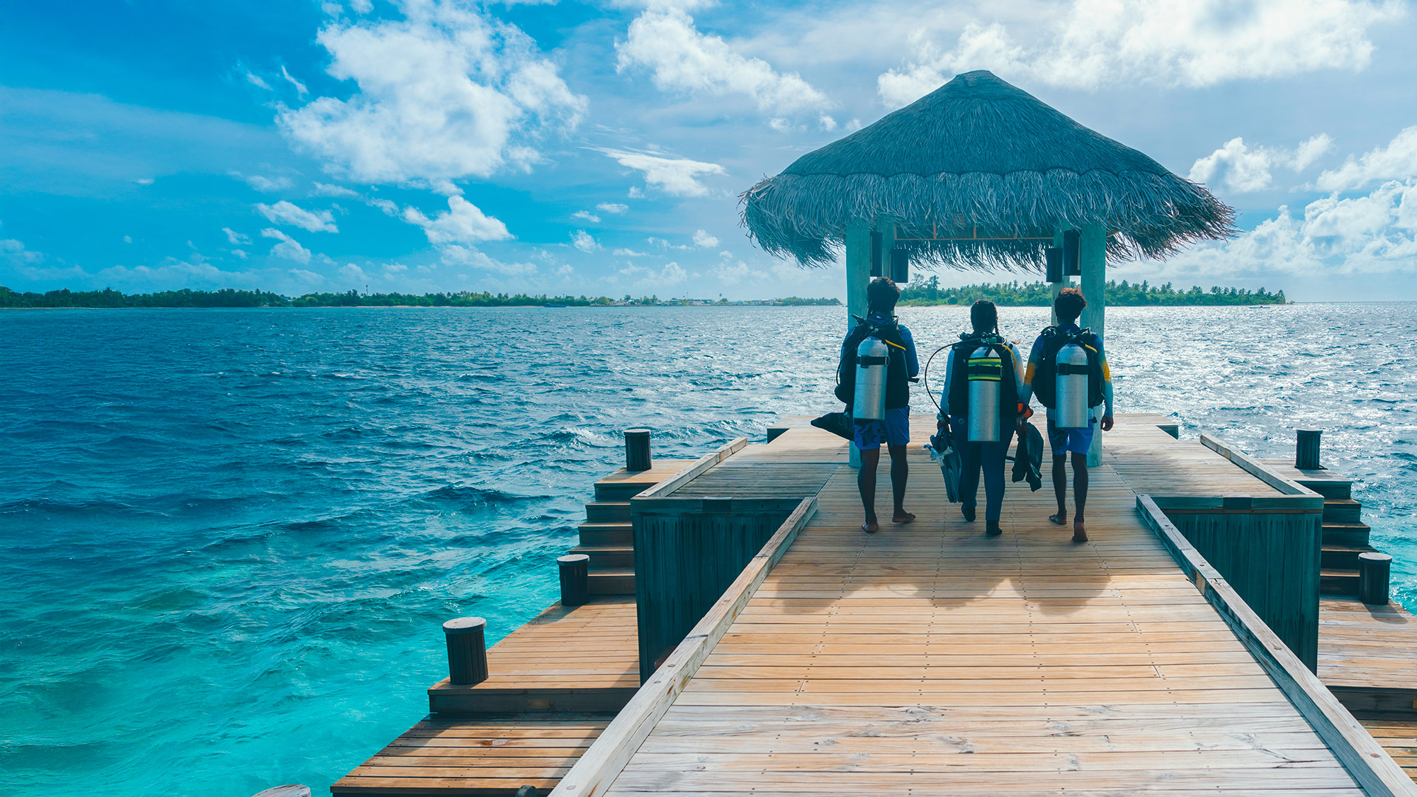 PADI Courses, Conservation, Membership, and Shop