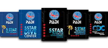 PADI Digital Marketing | PADI