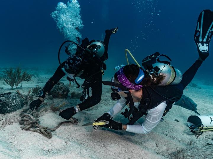 How To Participate in a Dive Against Debris | PADI