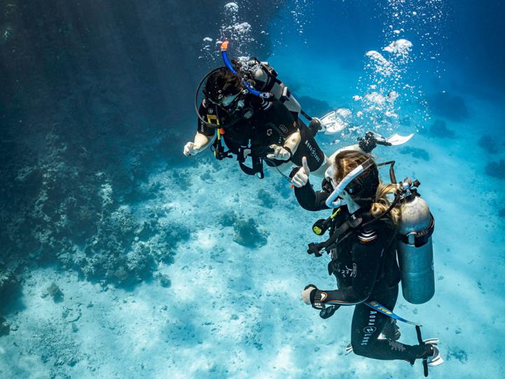 PADI Professional Diver eLearning Program