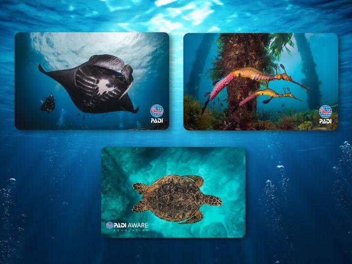PADI-cursussen, natuurbehoud, lidmaatschap en winkel