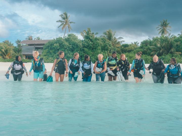 PADI Courses, Conservation, Membership, and Shop