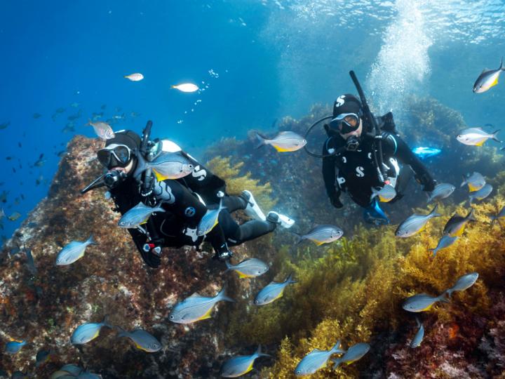 Dive Together: Refer a Friend & Get a New Dive Buddy