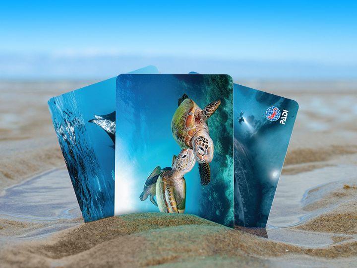 Certification Cards and PADI eCards | PADI