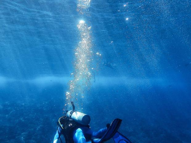 Live Unfiltered | Get PADI Dive Certified