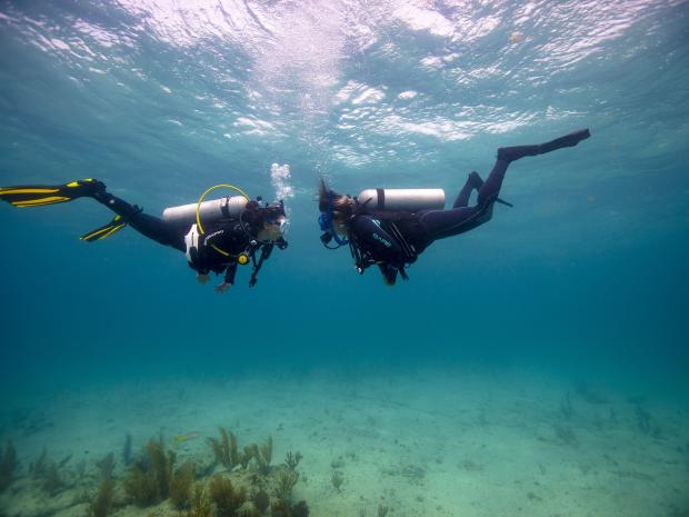 Live Unfiltered | Get PADI Dive Certified