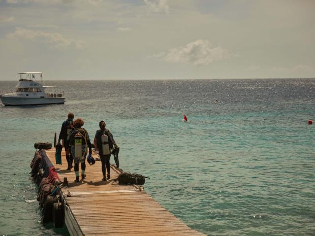 Cursos PADI, Conservação, Afiliação e Loja