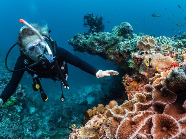 Learn to Scuba Dive in the UK & Ireland - LiveUnfiltered