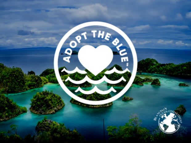 PADI AWARE Foundation | PADI