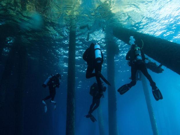 Professional Association of Diving Instructors | PADI