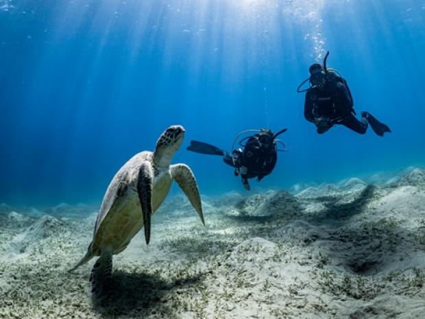 Dive Together: Refer a Friend & Get a New Dive Buddy