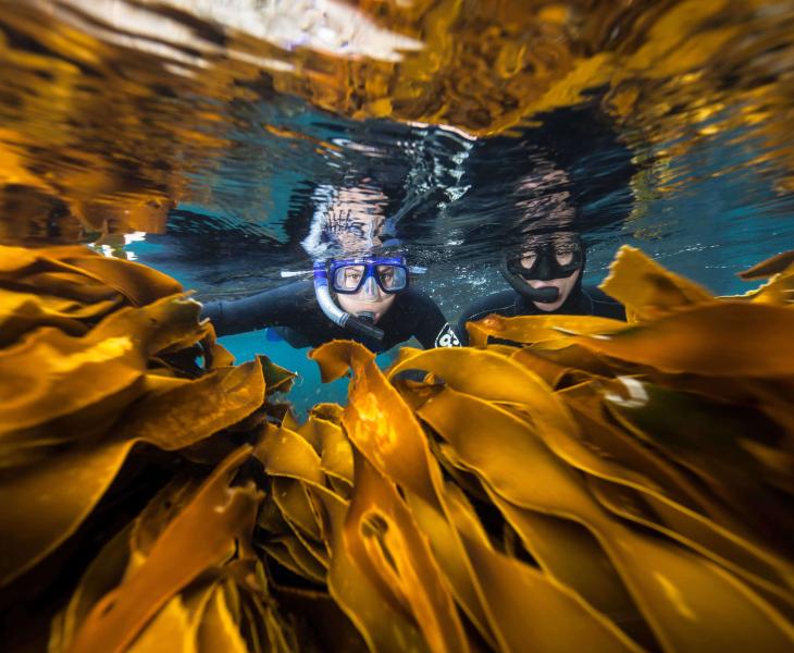 Young Ocean Explorers | PADI AmabassaDivers