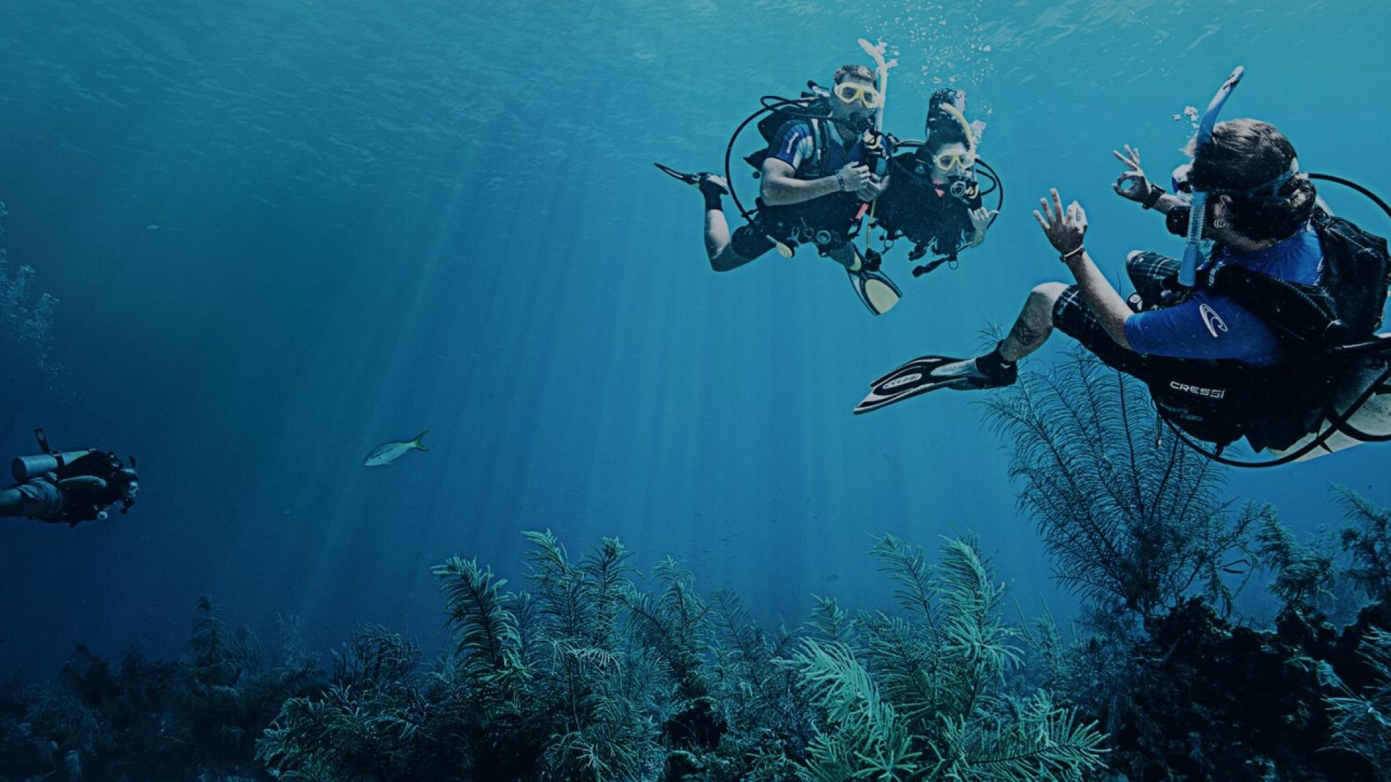 Master Scuba Diver Retail & Resort Challenge | PADI