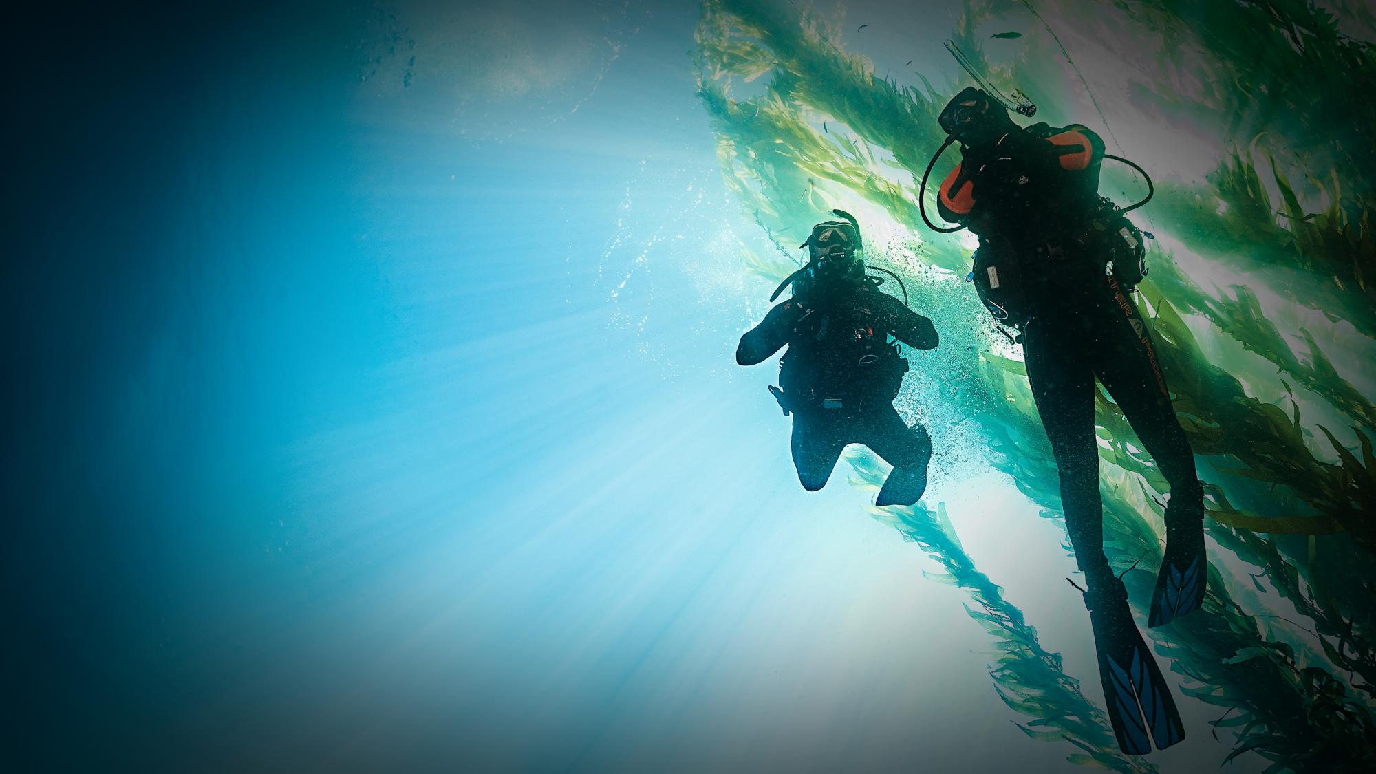 潛水教練專業協會 | PADI