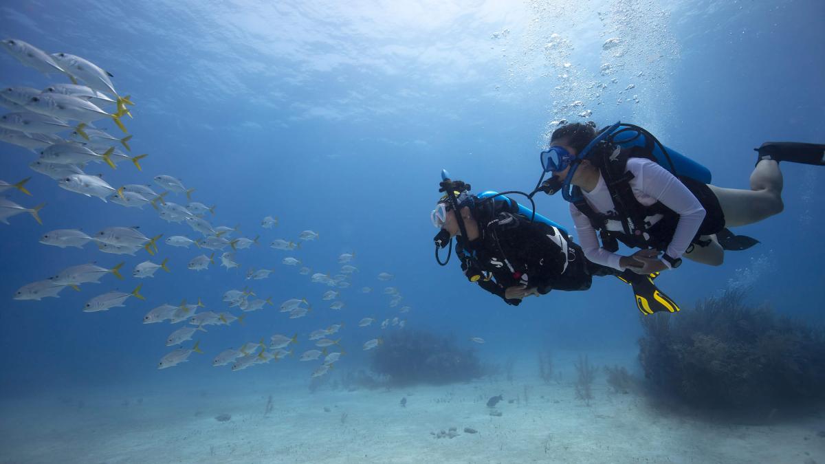 Professional Association of Diving Instructors | PADI