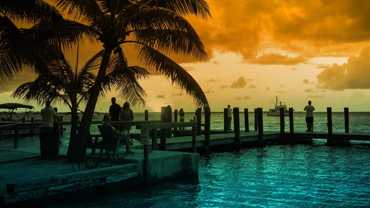 Professional Association of Diving Instructors | PADI