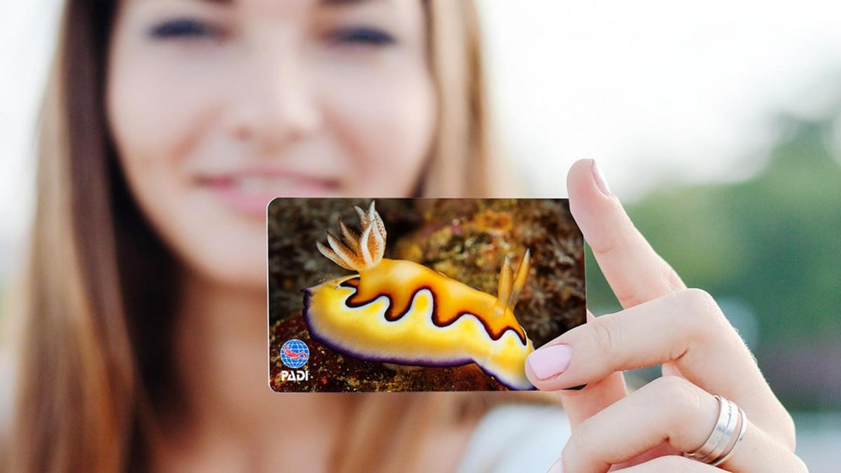 Certification Cards and PADI eCards | PADI