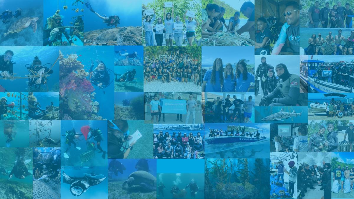 Meet Your 2022 AWARE Grantees | PADI