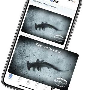 PADI Scuba Diving Certification FAQ | PADI