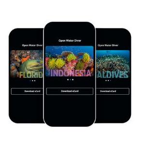 Downloadable PADI Forms and Paperwork | PADI